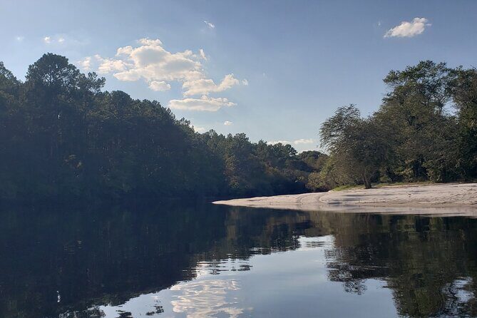 Okefenokee Swamp: Guided Kayak Tour with a Local Naturalist - What Travelers Are Saying