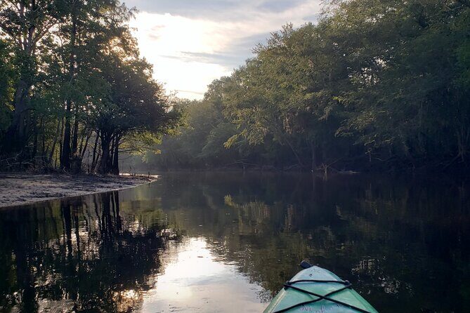 Okefenokee Swamp: Guided Kayak Tour with a Local Naturalist - Final Thoughts: The Value and Authenticity of the Okefenokee Kayak Tour