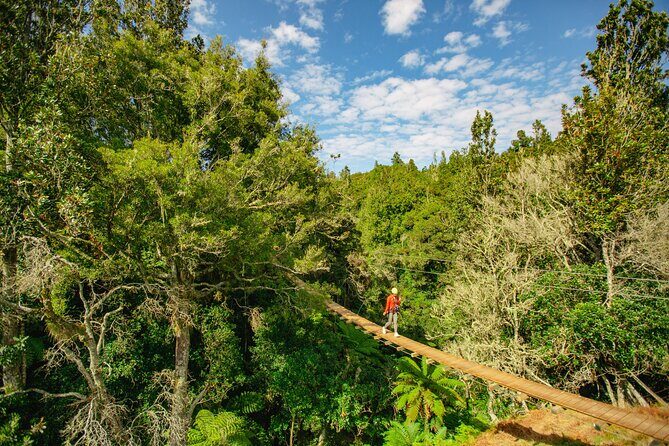 Okere Falls Zipline Experience - Who Should Consider This Tour?