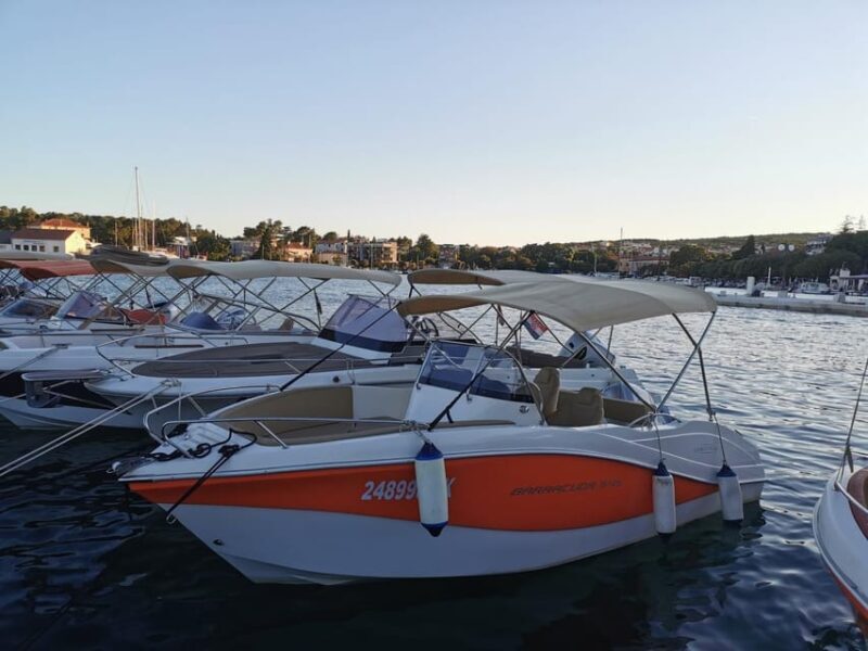 Oki Barracuda 545 356kk - Key Points