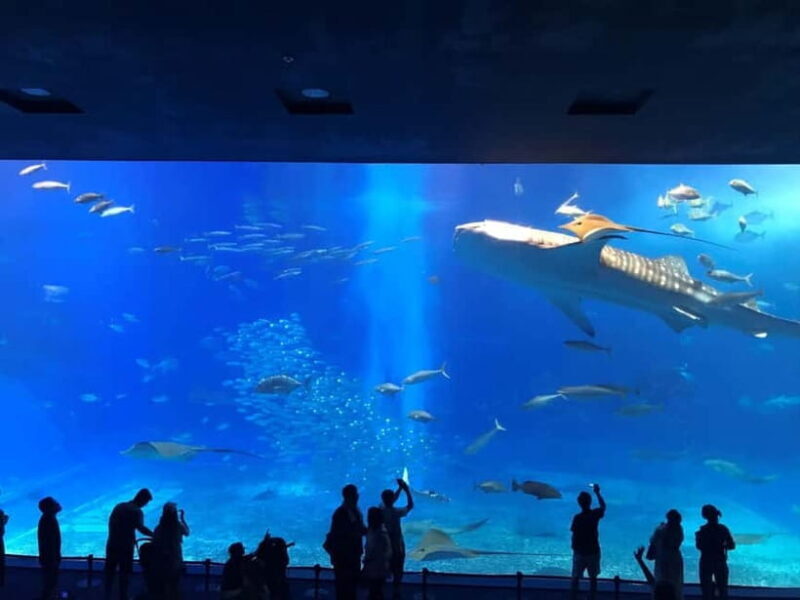 Okinawa: Aquarium, Kouri Island, & American Village Bus Tour - Explore Okinawa with a Bus Tour: An In-Depth Review