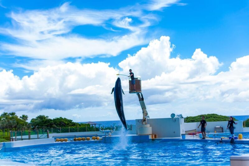 Okinawa: Aquarium, Kouri Island, & American Village Bus Tour - The Sum Up: Who Will Love This Experience?