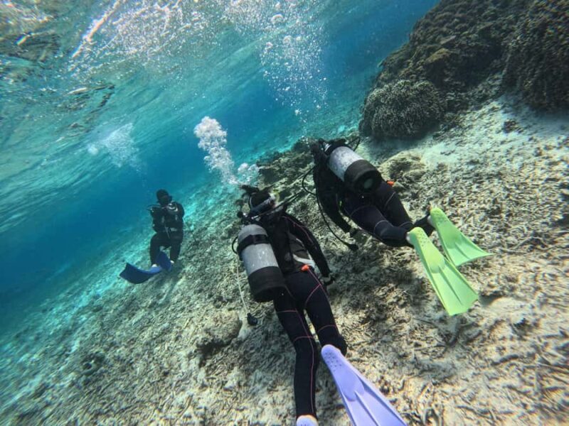 Okinawa Blue Cave Boat Diving in Onna Village| 8 Perks - What Makes the Experience Special?