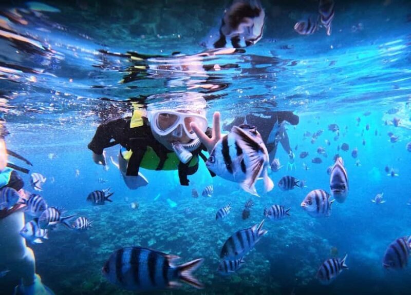 Okinawa: Blue Cave Boat Snorkeling with Free Gopro Photos - Key Points