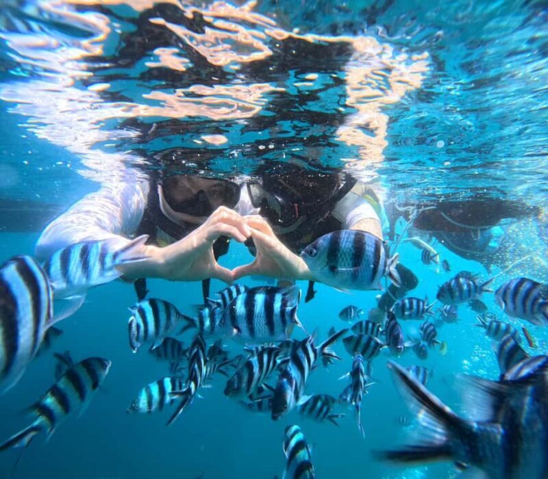 Okinawa: Blue Cave Boat Snorkeling with Free Gopro Photos - Why This Tour Might Be Perfect for You