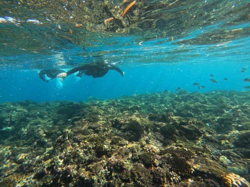 Okinawa: Blue Cave Private Snorkeling Tour with Guide - The Sum Up: Who Will Love This Tour?