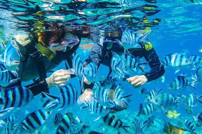 [Okinawa Blue Cave] Snorkeling and easy boat holding! Private system Very satisfied with the beautiful facilities of the shop (with photo and video shooting service) - The Tour Overview: What’s Included