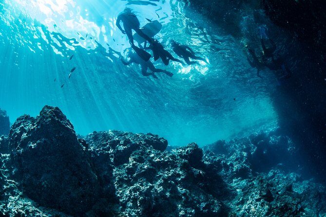 [Okinawa Blue Cave] Snorkeling and easy boat holding! Private system Very satisfied with the beautiful facilities of the shop (with photo and video shooting service) - Facilities and Shop Amenities