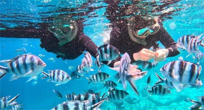 Okinawa: Blue Cave Snorkeling Tour Free Parking for Drivers - The Sum Up: A Practical, Authentic Ocean Encounter