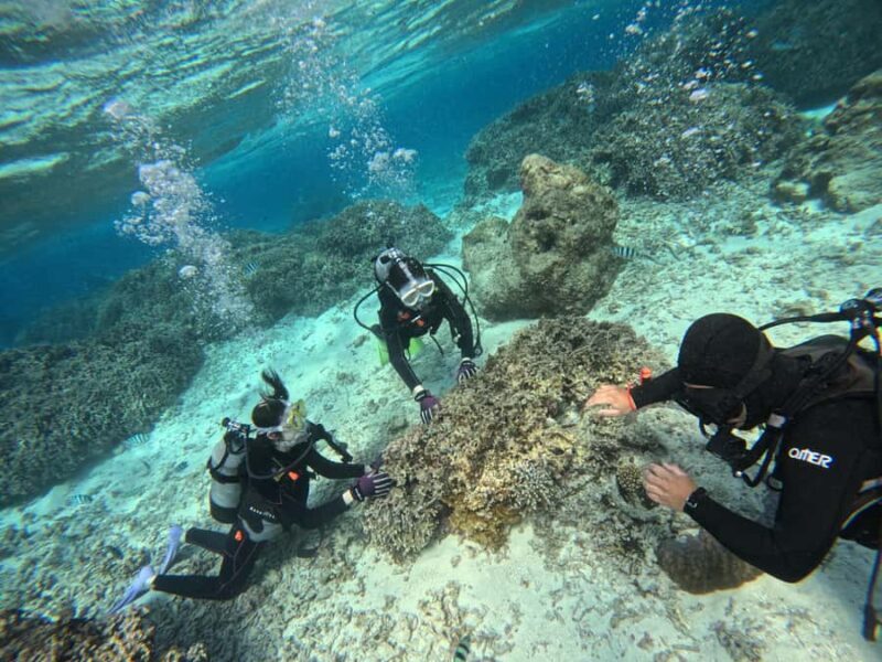 Okinawa Blue CaveDivingSea Walk by boat in Onna | 8 Perks - FAQs About the Okinawa Blue Cave Sea Walk & Diving Tour