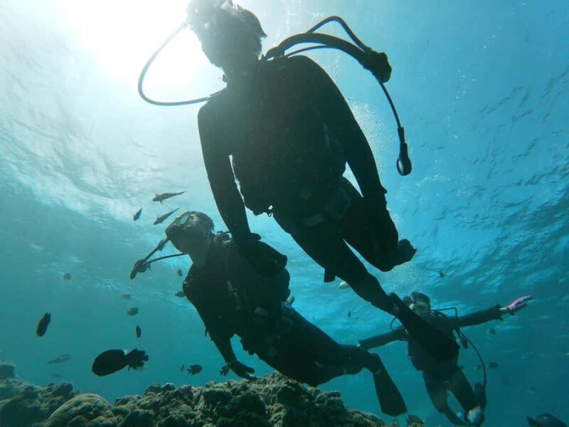 Okinawa BlueCaveIntroDiving in Onna village(free benefits) - Key Points