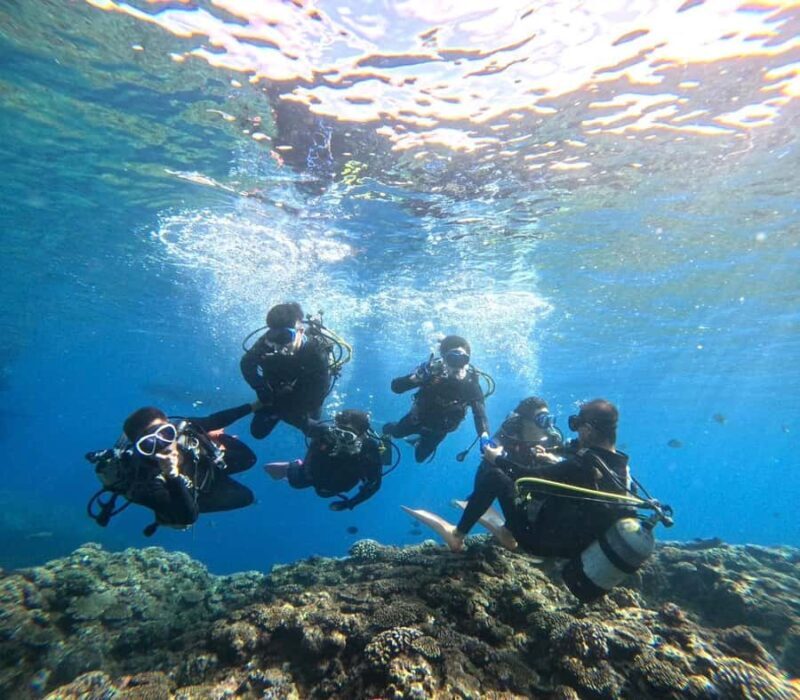 Okinawa BlueCaveIntroDiving in Onna village(free benefits) - Who Will Love This?