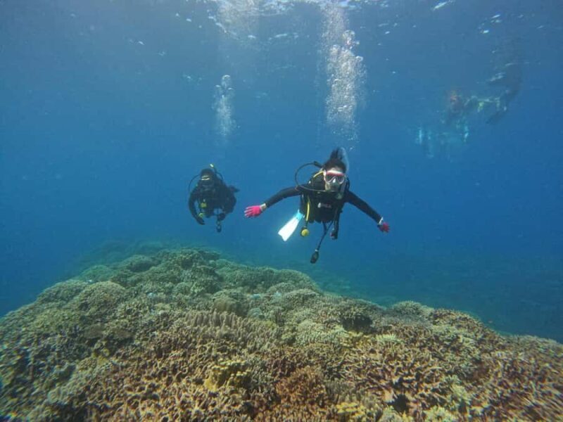 Okinawa: Boat Fun Diving at Minna, Sesoko or Motobu - FAQ