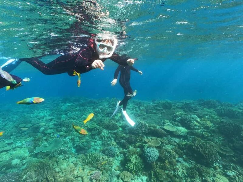 Okinawa: Boat Snorkeling at Minna, Sesoko or Motobu - Key Points