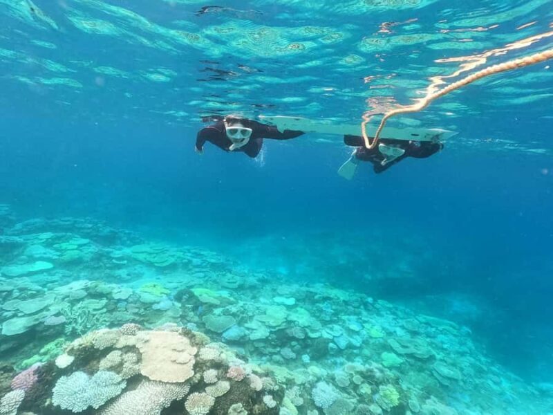 Okinawa: Boat Snorkeling at Minna, Sesoko or Motobu - An In-Depth Look at the Okinawa Snorkeling Experience
