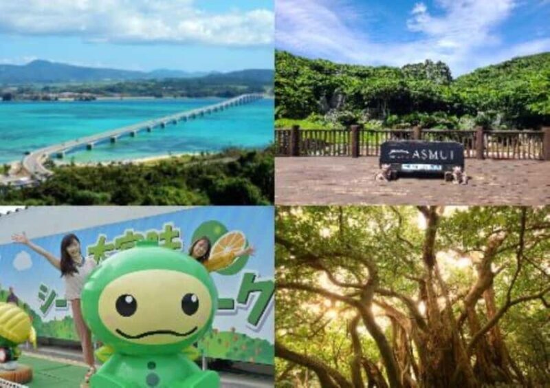 Okinawa: Bus Tour to Yanbaru National Park and Kouri Island - Transportation, Timing, and Value