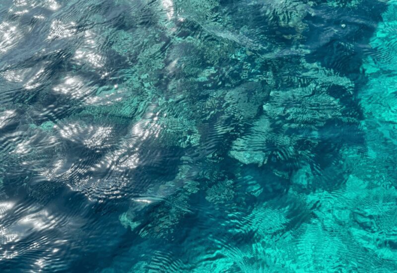 Okinawa Classic Highlights & Flexible Routes: Private Tour - FAQ