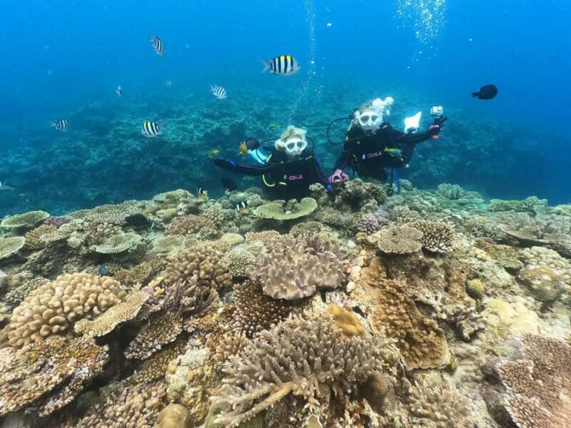 Okinawa: Discover SCUBA Diving at Minna, Sesoko or Motobu - An In-Depth Look at Okinawa’s Discover SCUBA Tour