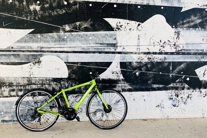 Okinawa E-bike Rental (Sporty Type) - Practical Details: What’s Included, What’s Not