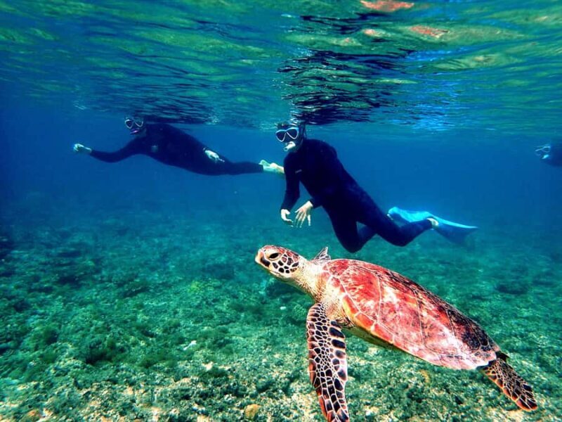 Okinawa: From Naha Full-Day Kerama Islands Snorkeling Tour - Key Points