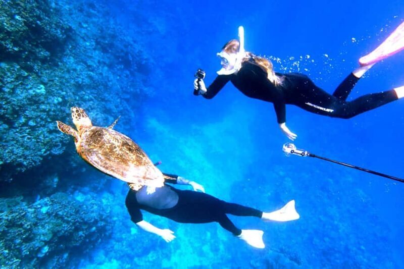 Okinawa: From Naha Full-Day Kerama Islands Snorkeling Tour - Final Thoughts: Is This Tour for You?