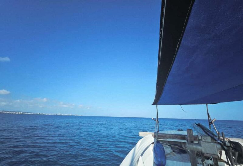 Okinawa: Half-Day Fishing Trip with Local Fisherman - Who Would Love This Experience?