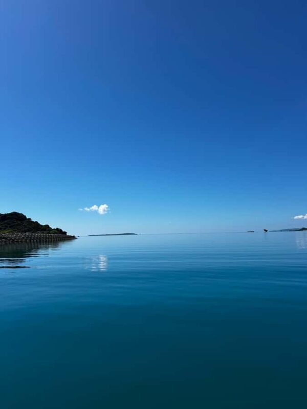 Okinawa: Henza Island Wakeboarding Experience - Key Points