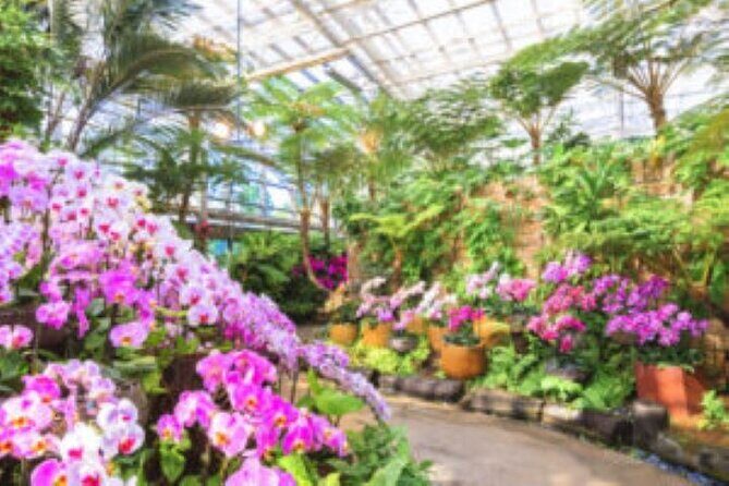 Okinawa Hip-hop Bus B - 2 Course Tour (Okinawa Churaumi Aquarium) - The Sum Up