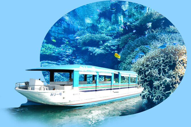 Okinawa Hip-hop Bus B Course Tour (Okinawa Churaumi Aquarium) - A Practical Overview of the Itinerary and Highlights