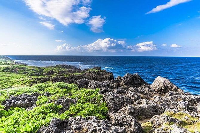 Okinawa Hip-hop Bus C Course Tour to Northern Island - A Deep Dive into the Tour Itself