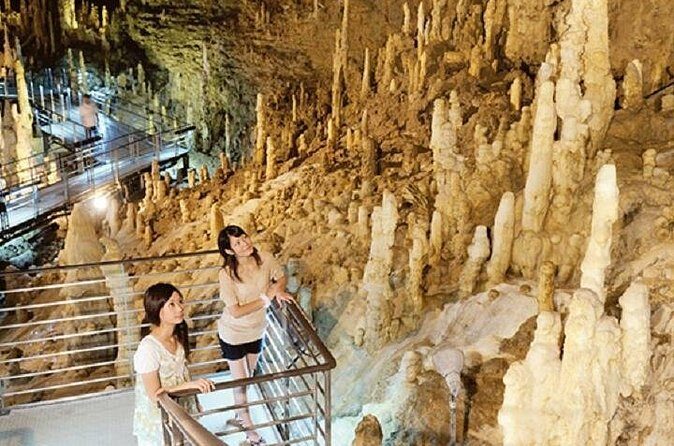 Okinawa Hip-hop Bus D Course Tour to Southern Island - Authentic Traveler Perspectives