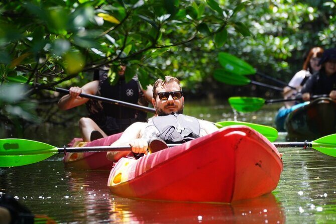 Okinawa Iriomote Mangrove SUP or Canoe Tour and Splash Canyoning - The Itinerary: What You Can Expect