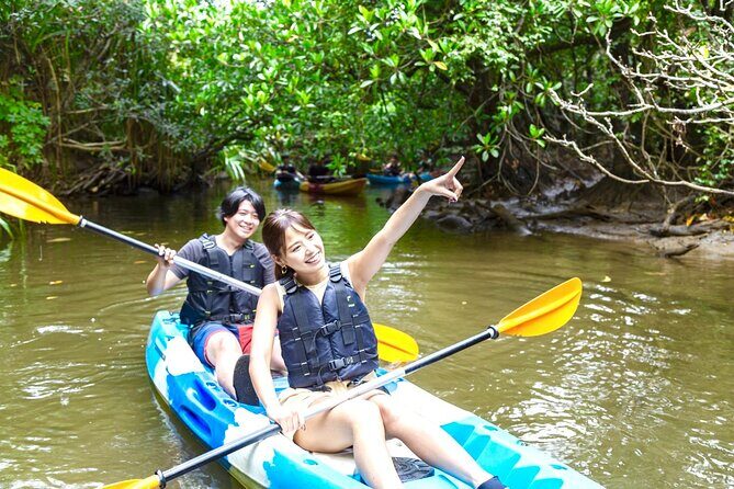 Okinawa Iriomote Mangrove SUP or Canoe Tour and Splash Canyoning - Why This Tour Is a Great Choice