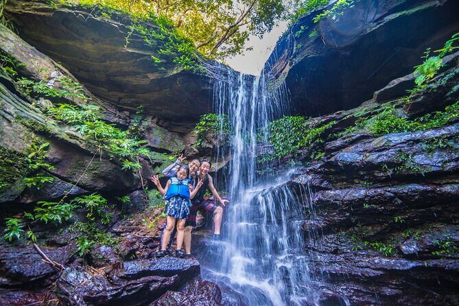 Okinawa Iriomote Mangrove SUP or Canoe Tour - Exploring the Okinawa Iriomote Mangrove SUP or Canoe Tour: A Natural Adventure