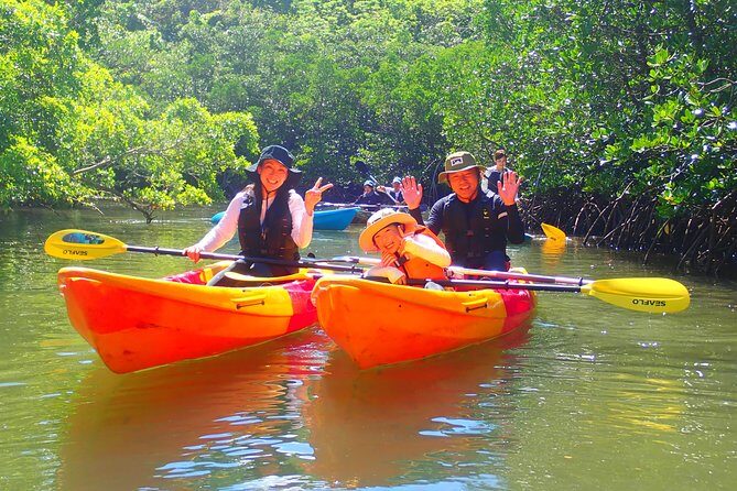 Okinawa Iriomote Mangrove SUP or Canoe Tour - Final Thoughts: Who Should Consider This Tour?