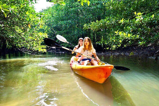 Okinawa Iriomote Mangrove SUP or Canoe Tour - Final Words