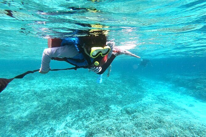 Okinawa Iriomote Snorkeling Tour at Coral Island - FAQ