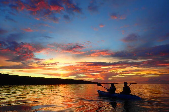 Okinawa Iriomote Sunrise SUP/Canoe Tour in Iriomote Island - Who Will Love This Tour?