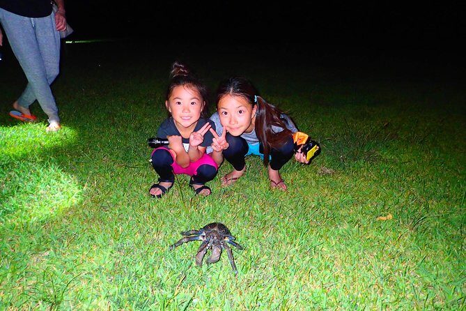 Okinawa Iriomotejima Night Adventure Tour - The Experience: Deep Dive Into the Details
