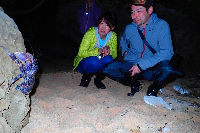 Okinawa Iriomotejima Night Adventure Tour - Final Thoughts