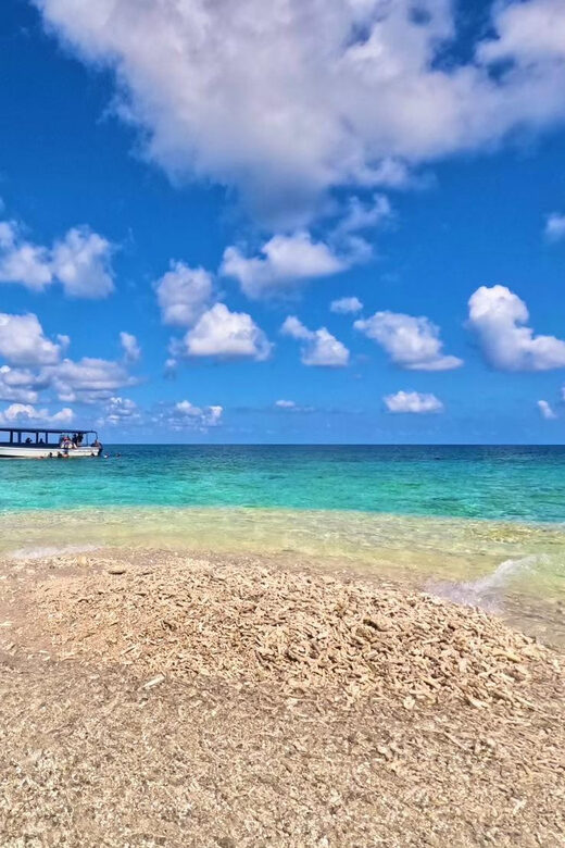 Okinawa Iriomotejima Night Adventure Tour - The Sum Up: Is It Worth It?