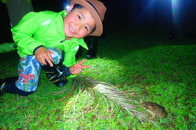 Okinawa Ishigaki Island Night Starry sky and Jungle night tour - The Sum Up: Who Will Love This Tour?