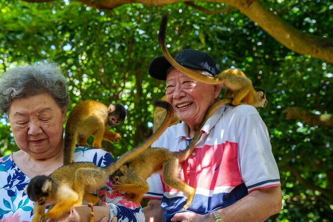 Okinawa Ishigaki Island Private Tour - Who Should Book This Tour?