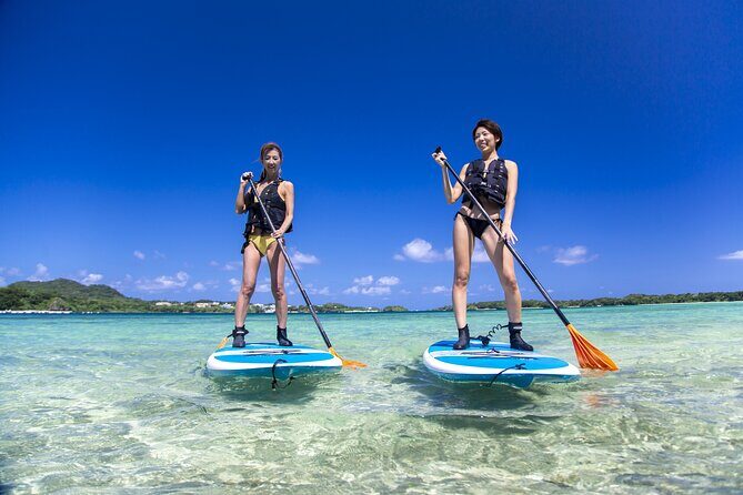 Okinawa Ishigaki Kabira Bay SUP or Canoe Tour - Key Points