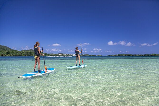 Okinawa Ishigaki Kabira Bay SUP or Canoe Tour - The Experience in Detail