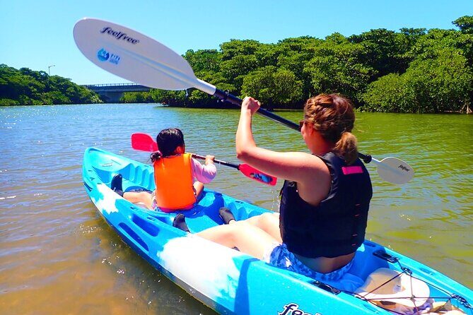 Okinawa Ishigaki Mangrove SUP or Canoe Tour - Exploring the Okinawa Ishigaki Mangrove SUP or Canoe Tour: An Authentic Nature Escape