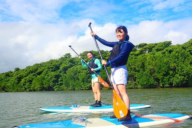 Okinawa Ishigaki Mangrove SUP or Canoe Tour - Key Points