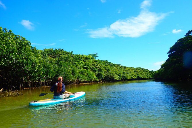 Okinawa Ishigaki Mangrove SUP or Canoe Tour - Authentic Insights From Reviewers