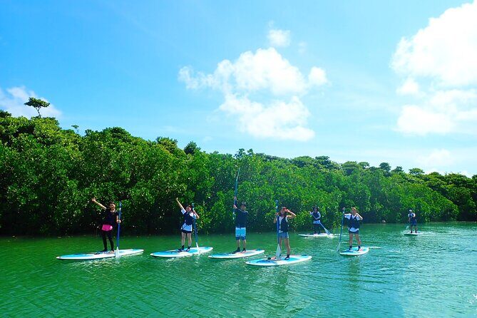 Okinawa Ishigaki Mangrove SUP or Canoe Tour - The Sum Up: Is It Worth It?