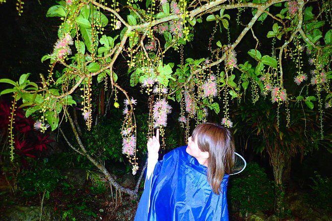 Okinawa Ishigaki Sagaribana Watching Tour June to August only - Detailed Breakdown of the Experience